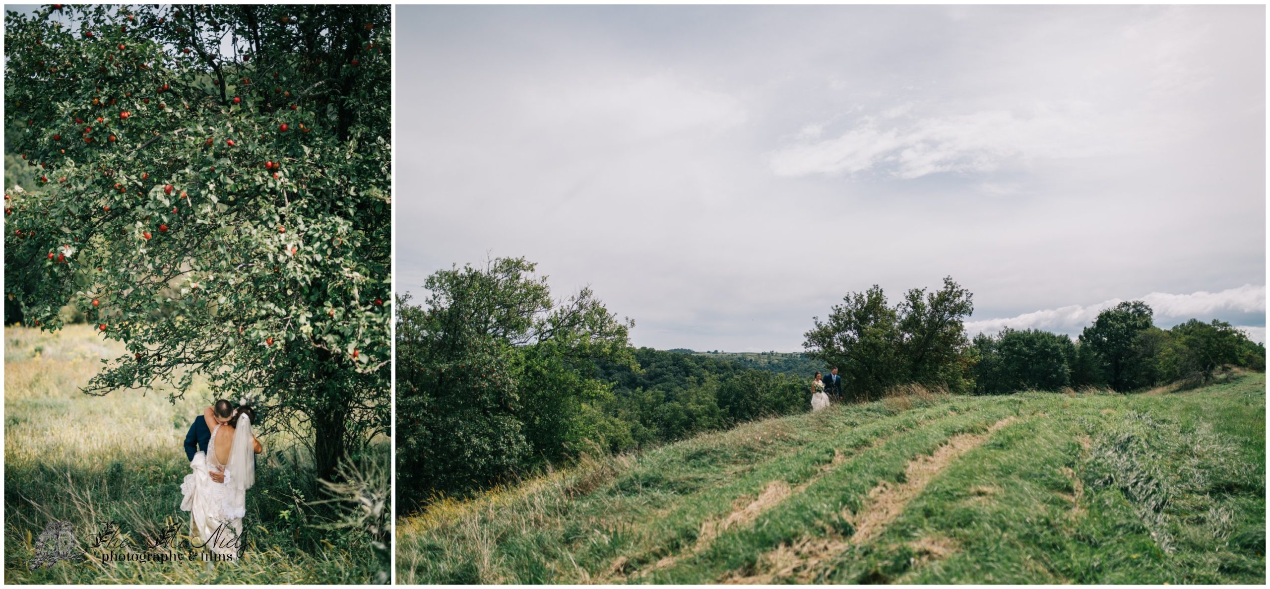 Wisconsin Backyard Wedding | Alizabeth & Mike - McNiel Photography