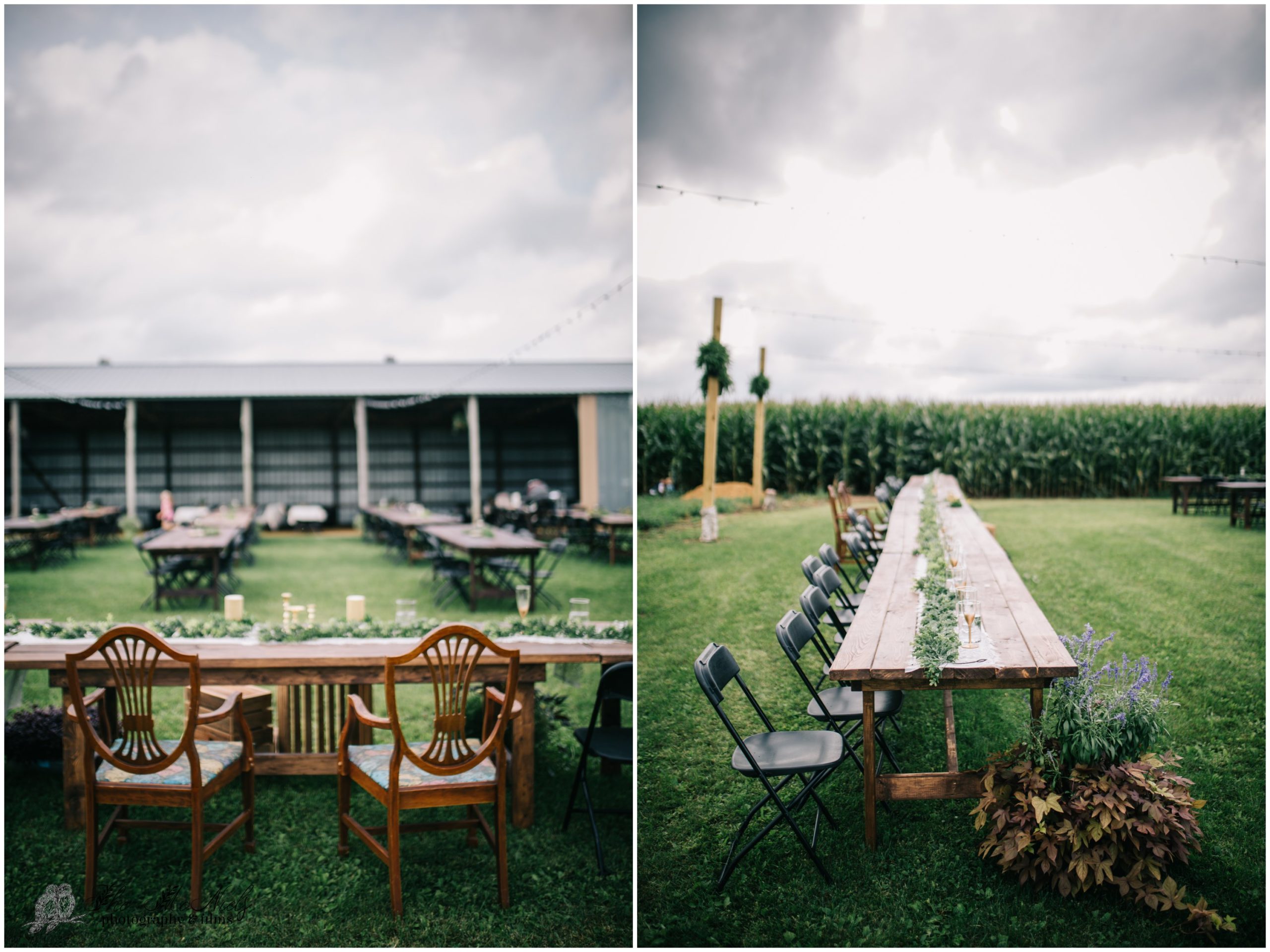 Wisconsin Backyard Wedding | Alizabeth & Mike - McNiel Photography